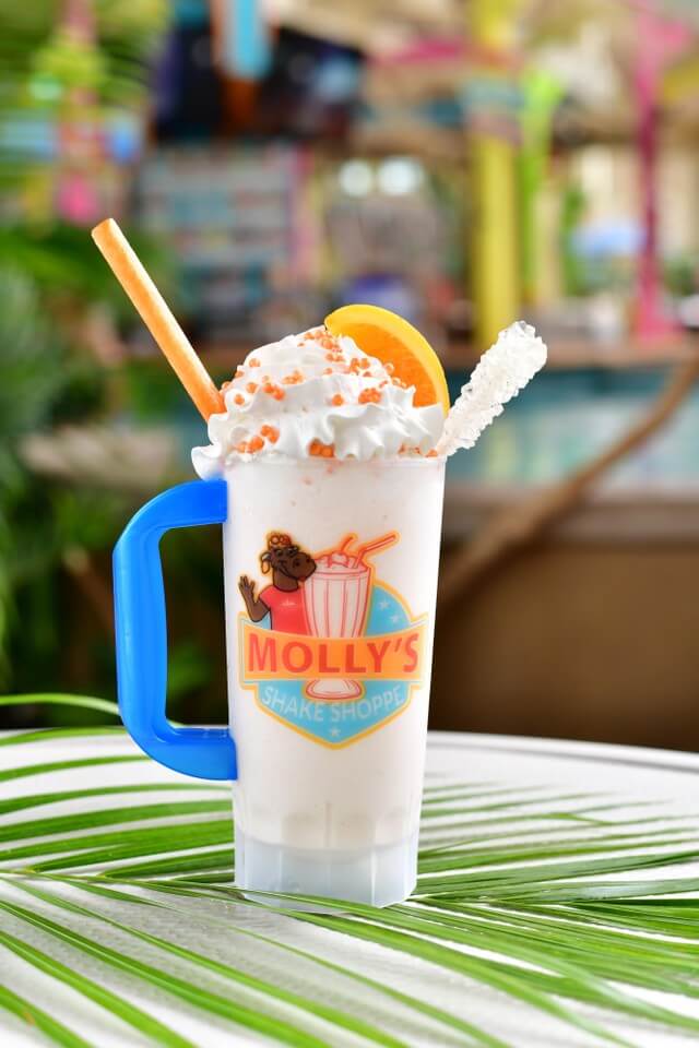 Molly’s Shake Shoppe Coming March 2023! - Wilderness at the Smokies