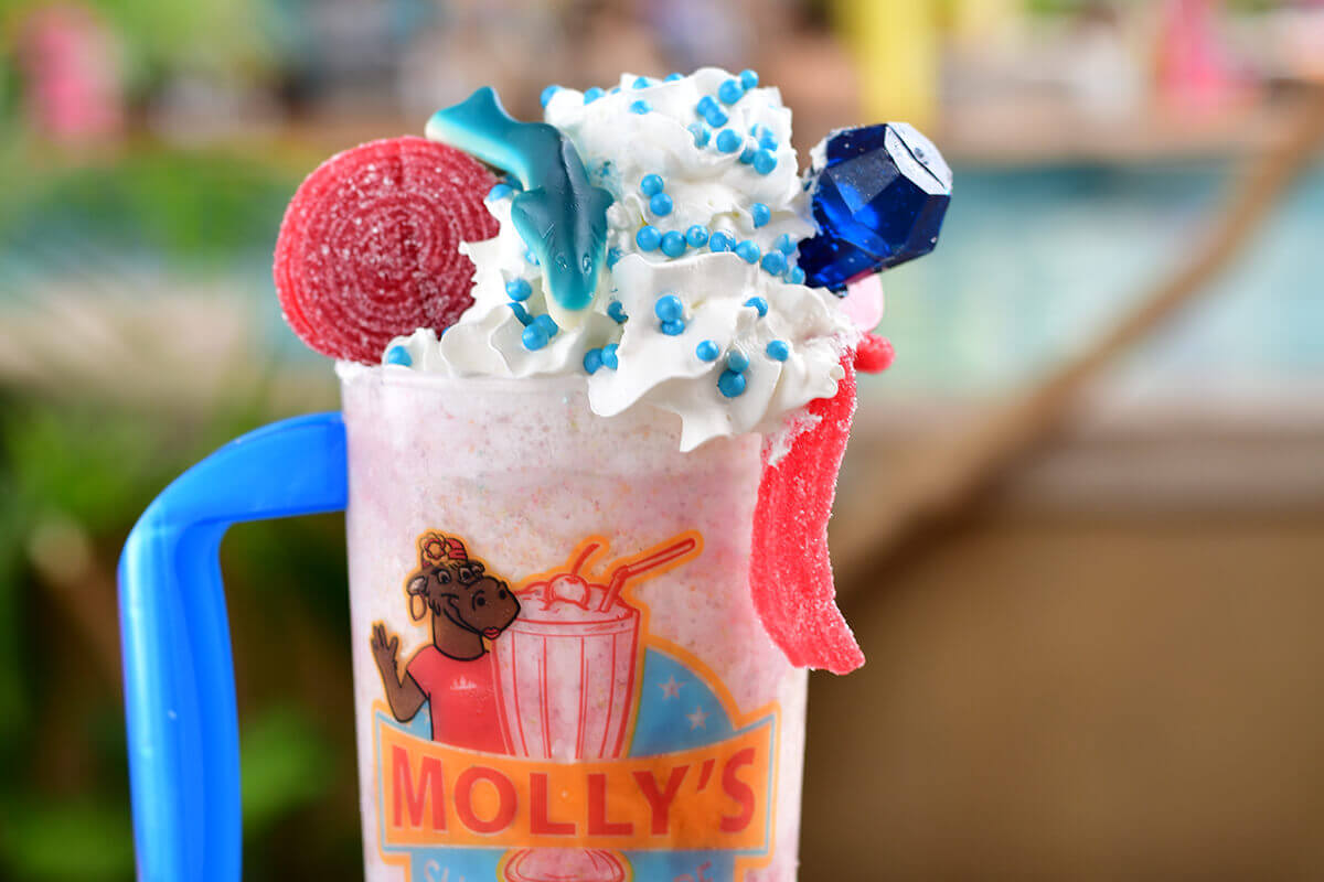 NEW! Molly's Shake Shoppe - Wilderness at the Smokies