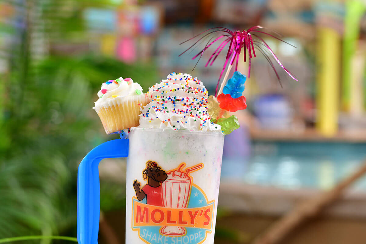 NEW! Molly's Shake Shoppe - Wilderness at the Smokies