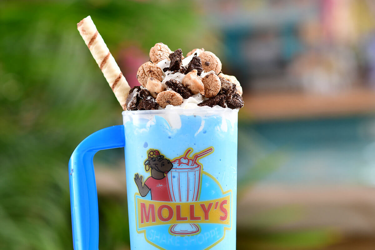 NEW! Molly's Shake Shoppe - Wilderness at the Smokies