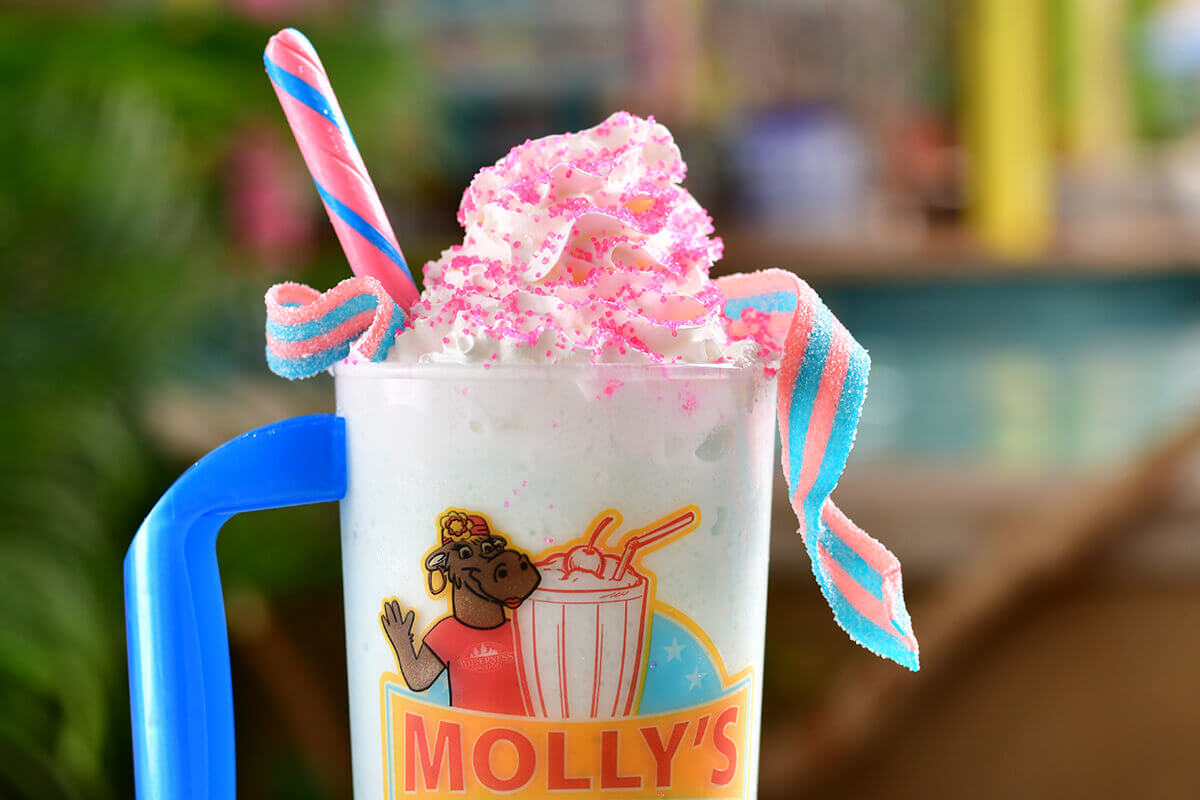 NEW! Molly's Shake Shoppe - Wilderness at the Smokies
