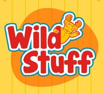 WILD STUFF WORKSHOP - Wilderness at the Smokies