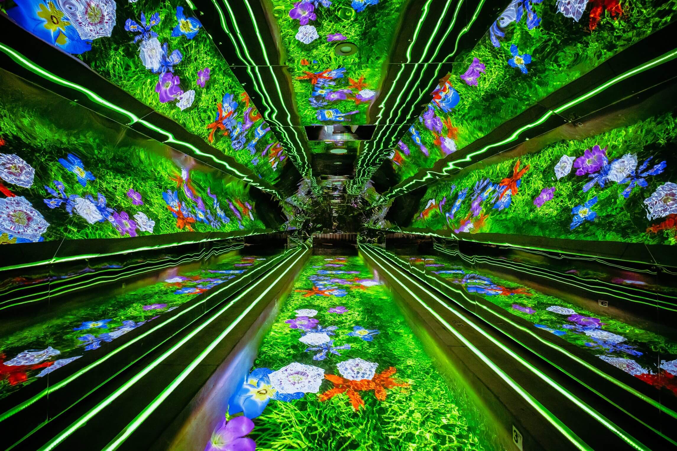 Wild WaterDome Indoor Waterpark at River Lodge - Wilderness at the Smokies