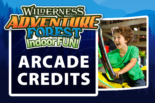 Arcade Credits - Wilderness at the Smokies