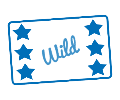 Resort Info - Wilderness at the Smokies